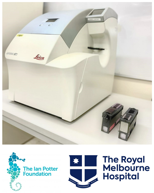 Digital tissue pathology imaging - Victorian Cancer Biobank